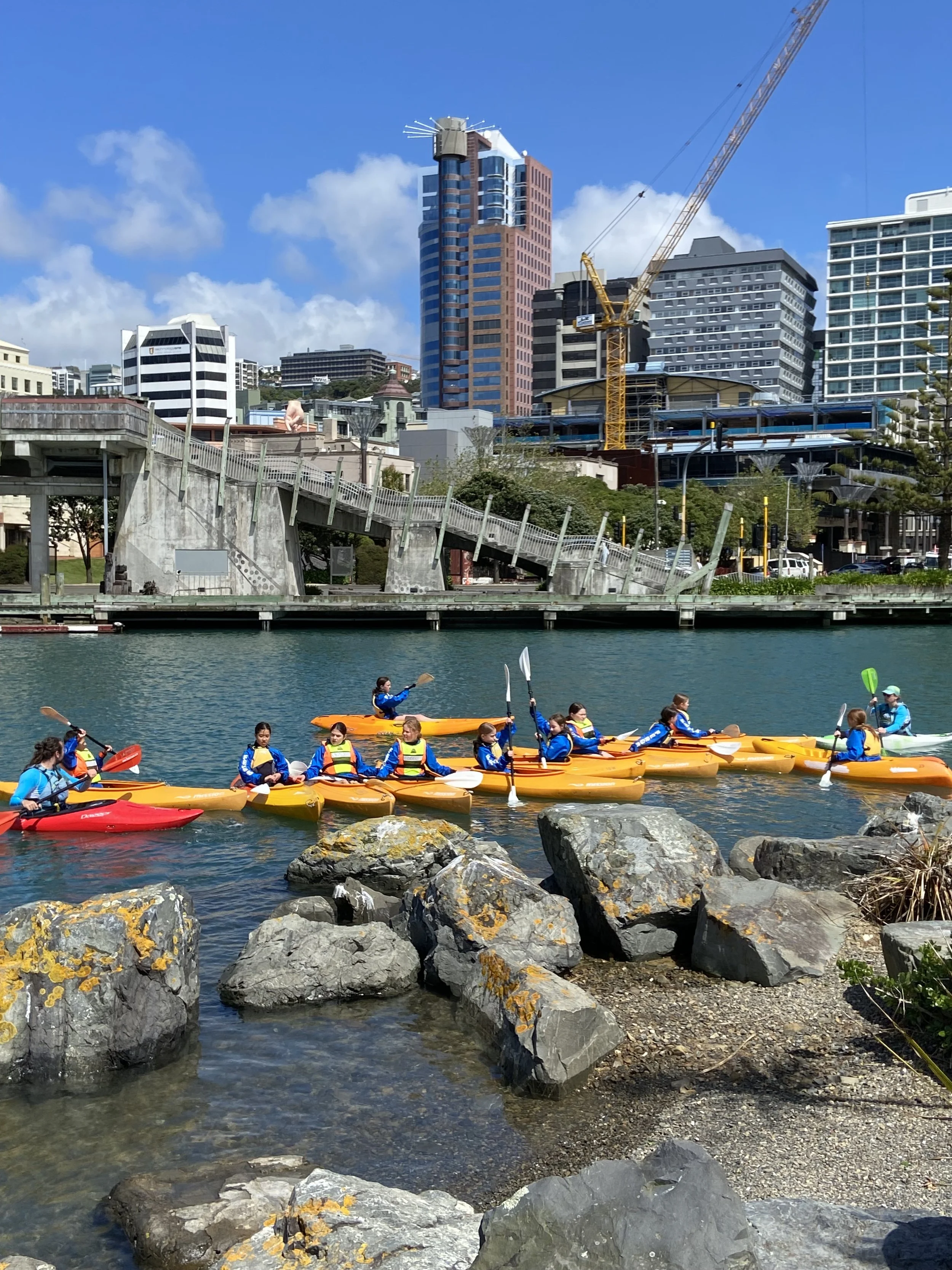 Ahi Years 7 & 8 — Hataitai School - kia kaha kia toa