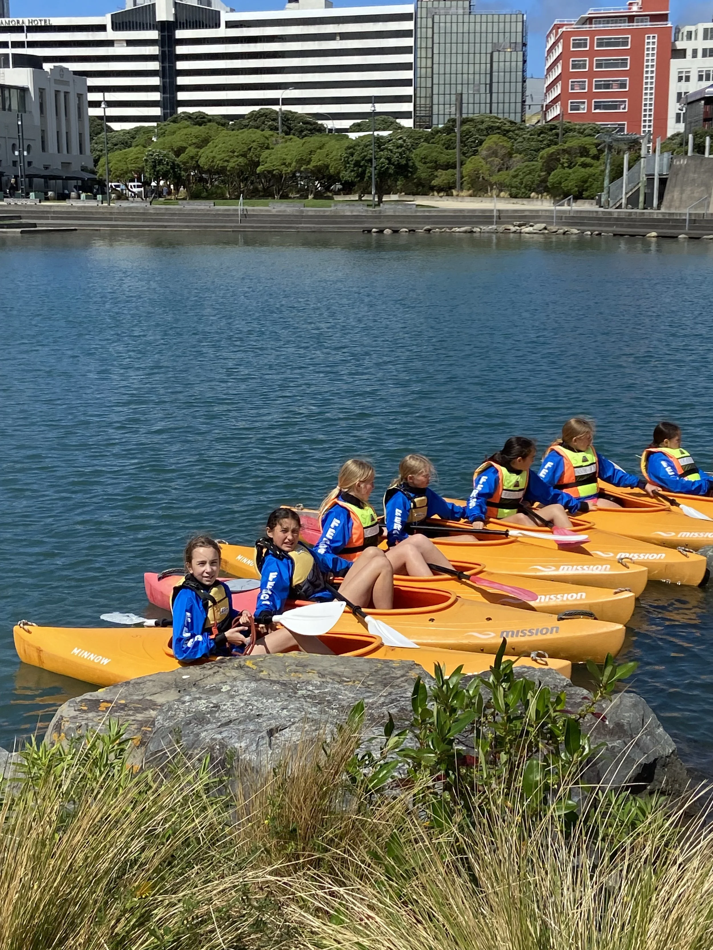 Ahi Years 7 & 8 — Hataitai School - kia kaha kia toa