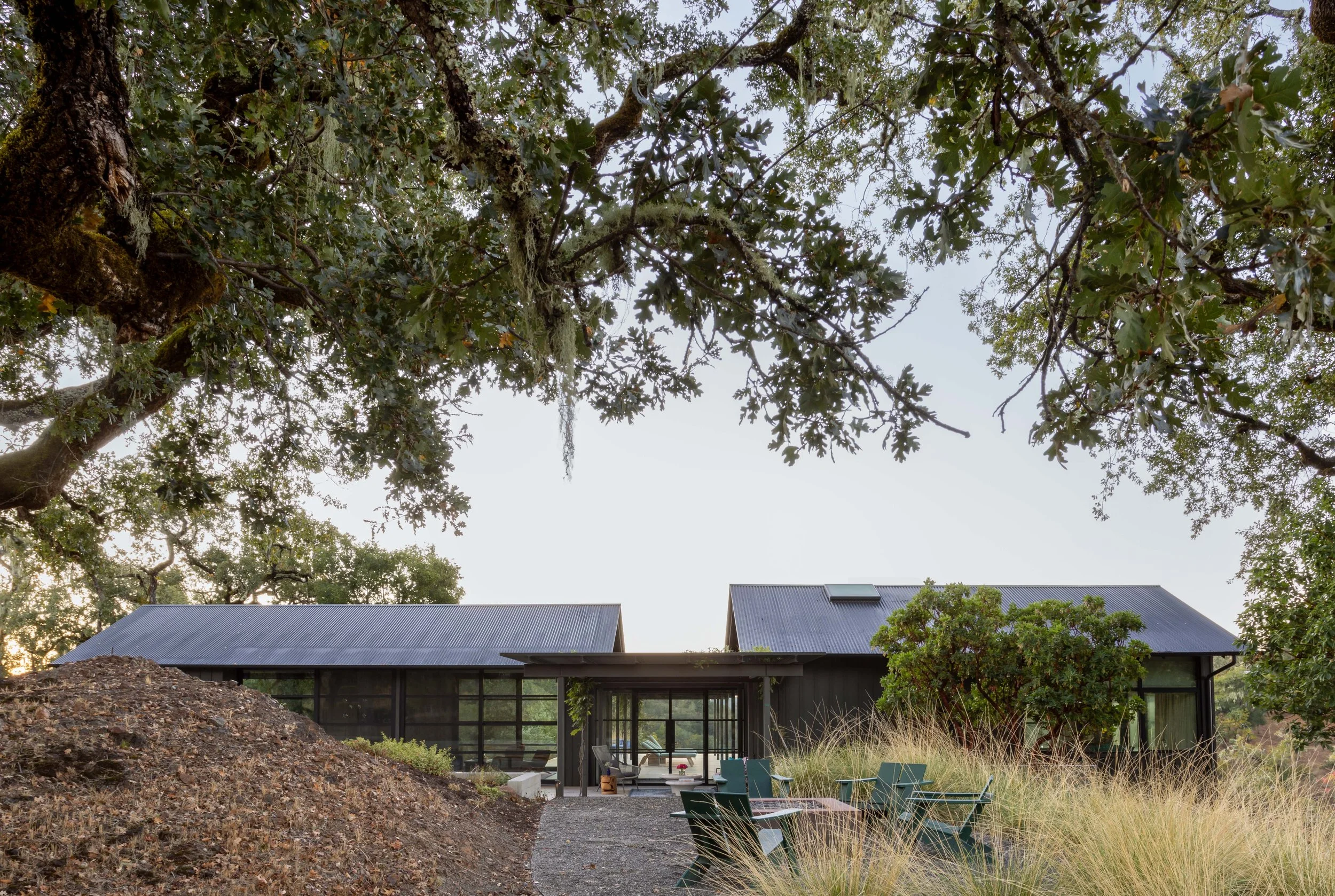 Trellis House — NICK NOYES ARCHITECTURE