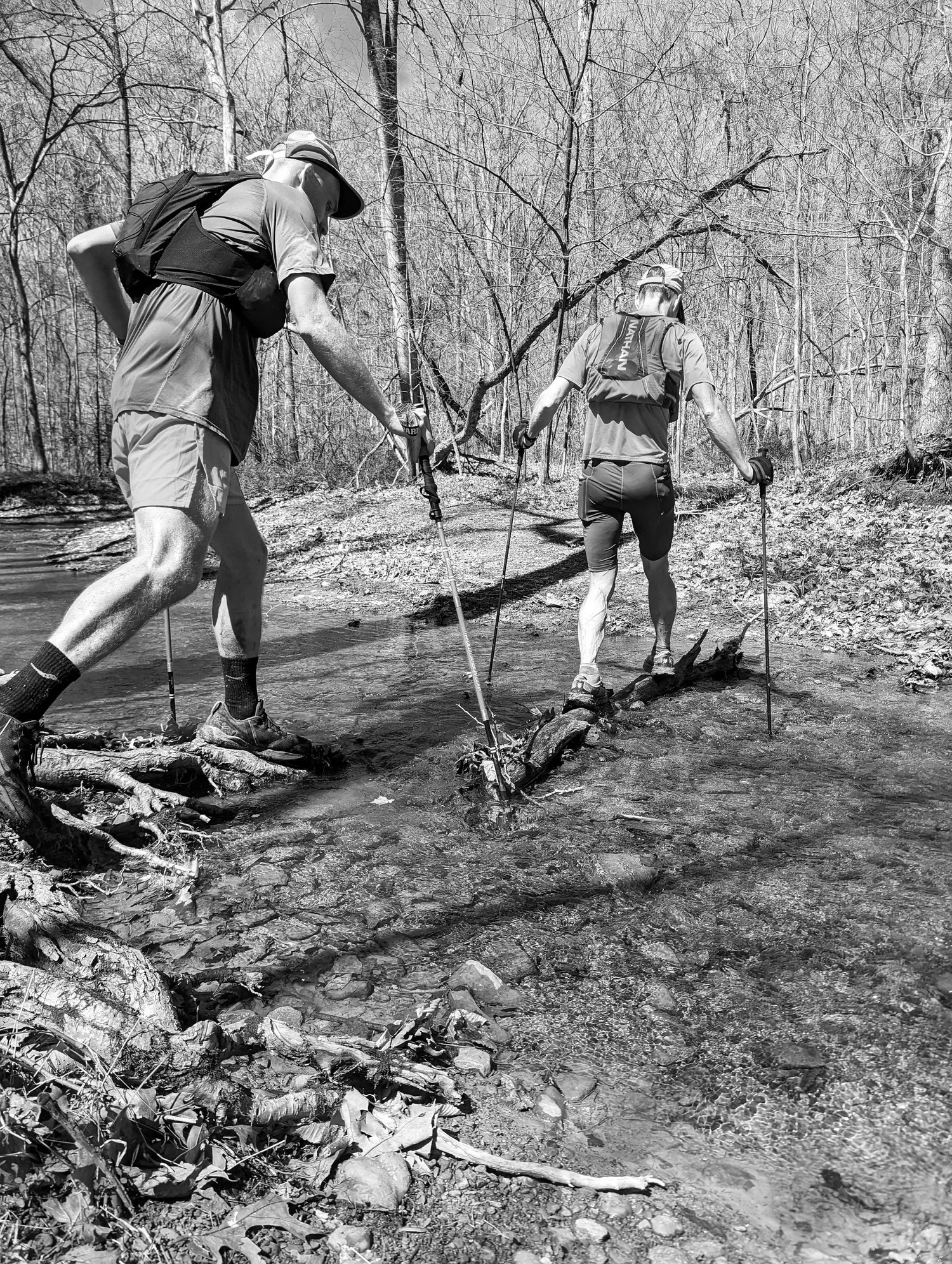 Knobstone 50 — Trailblazer Running