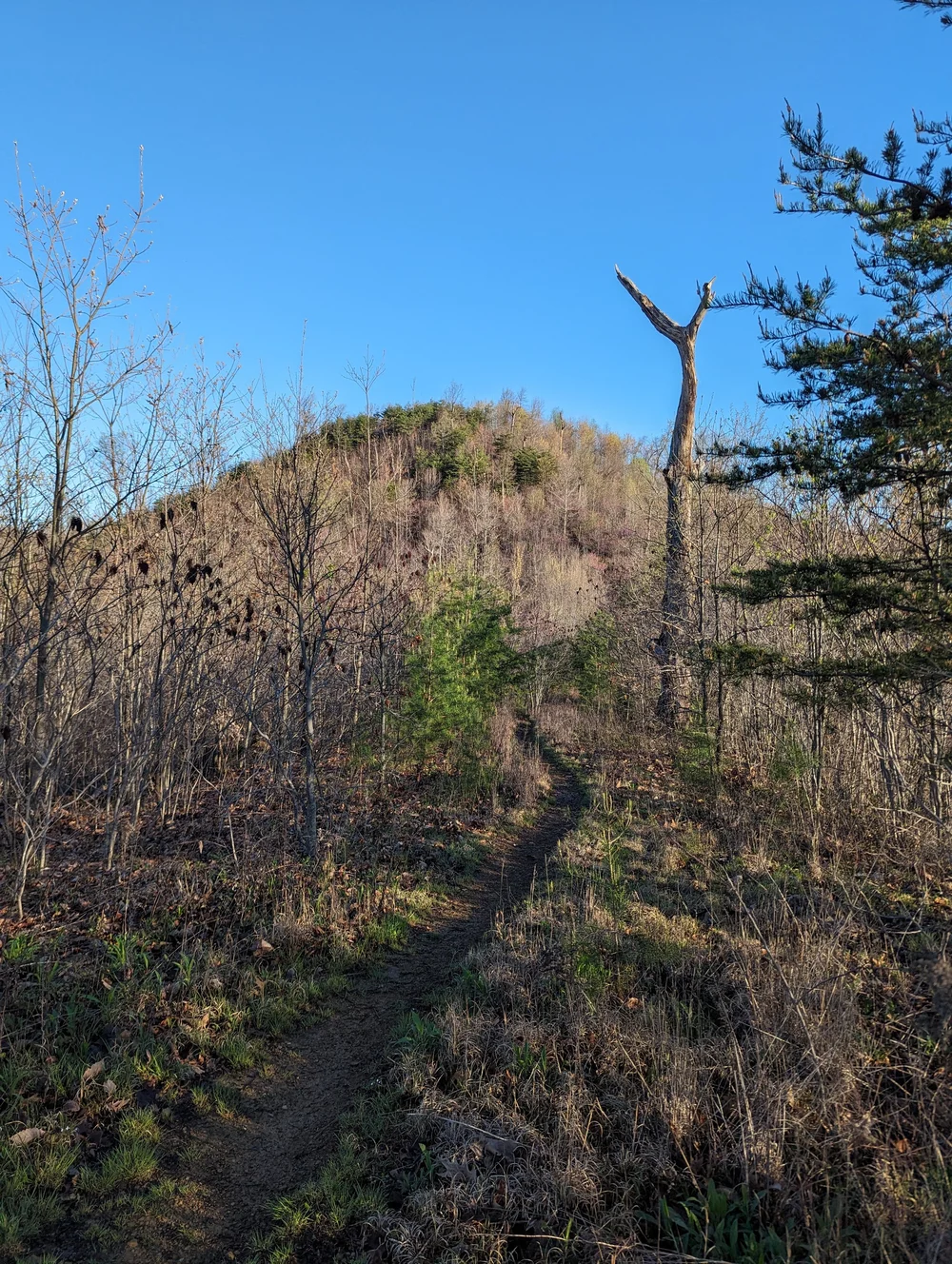 Knobstone 50 — Trailblazer Running