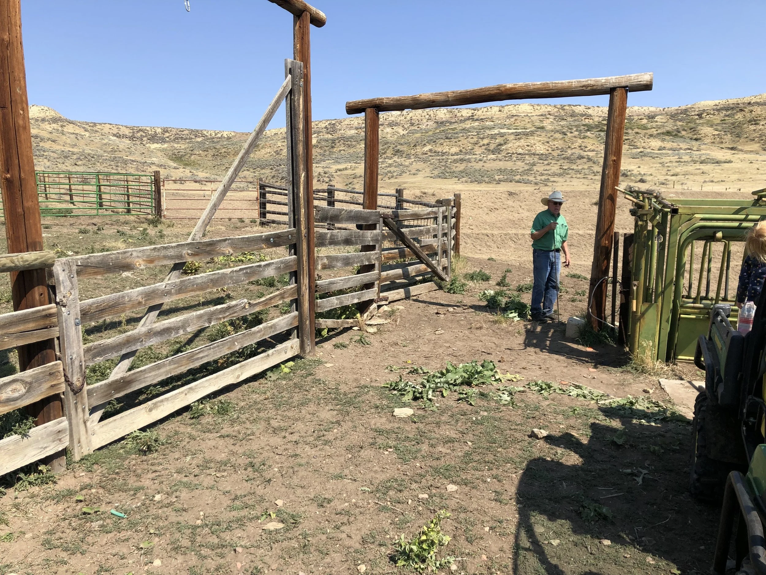 Pony Track Beef Company