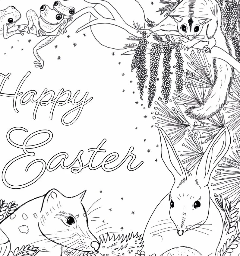 FREE Easter Bilby COLOURING DOWNLOAD — Sarah Matsuda︱Visual Artist
