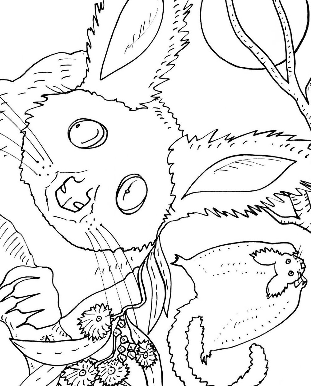 FREE Snuggled Away COLOURING DOWNLOAD — Sarah Matsuda︱Visual Artist