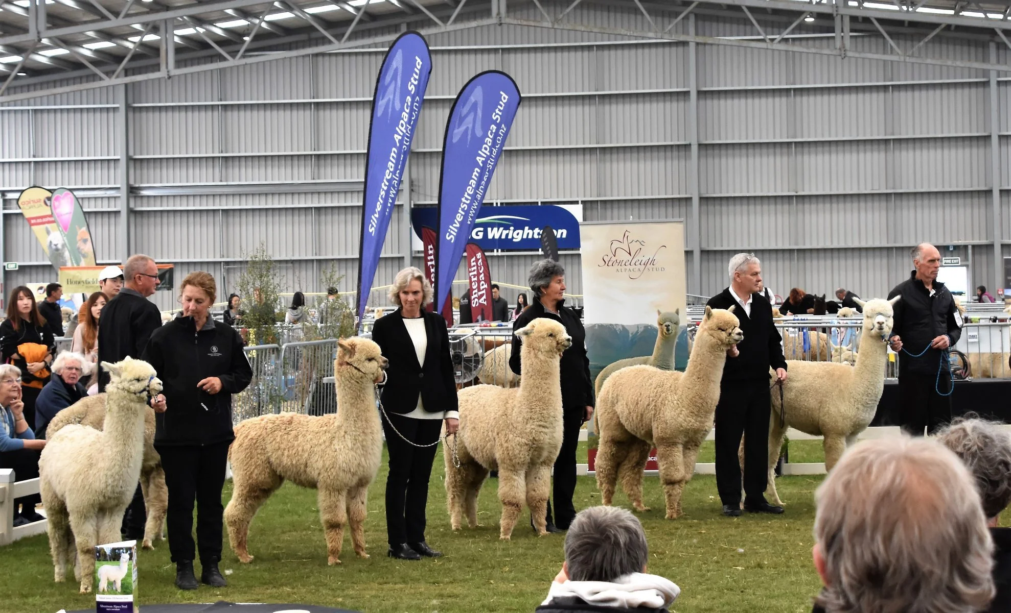 Alpaca Association New Zealand
