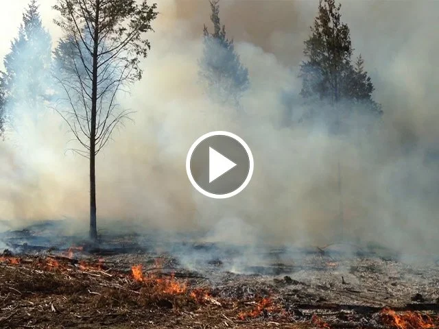 Gallery 1 — Alabama Prescribed Fire Council