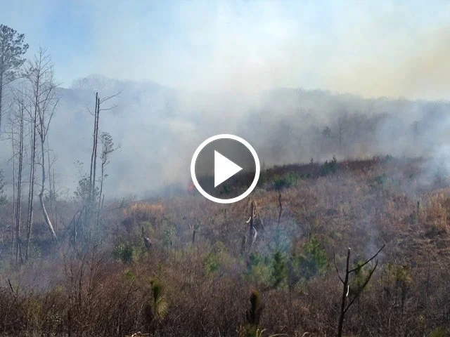 Gallery 1 — Alabama Prescribed Fire Council