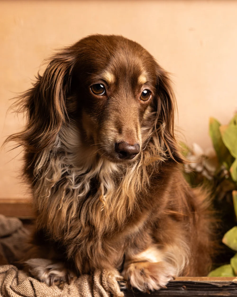 Karen Nash Photography