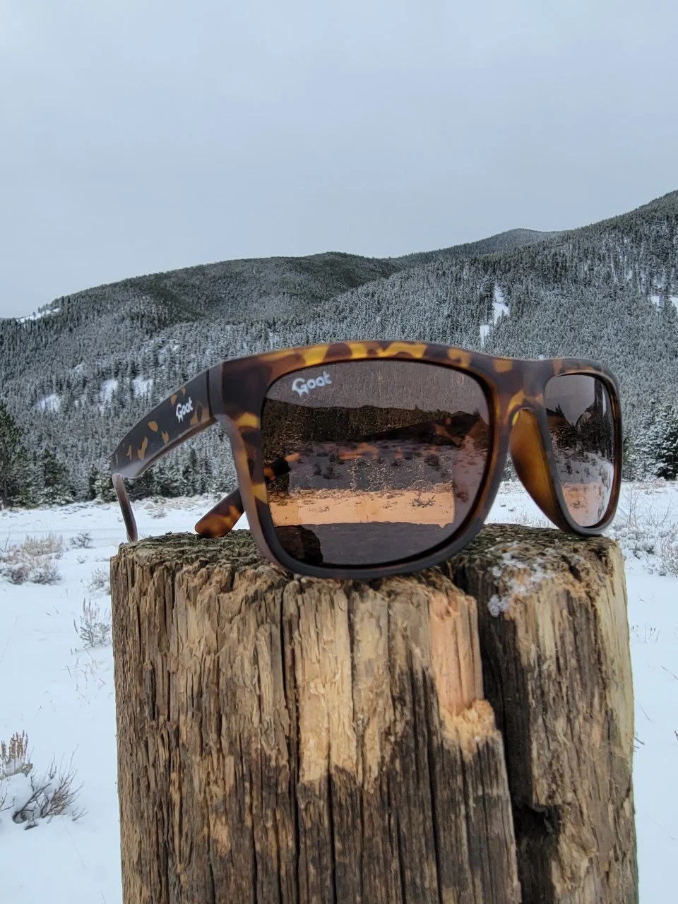 Shop Sunglasses — Goat Sunglasses