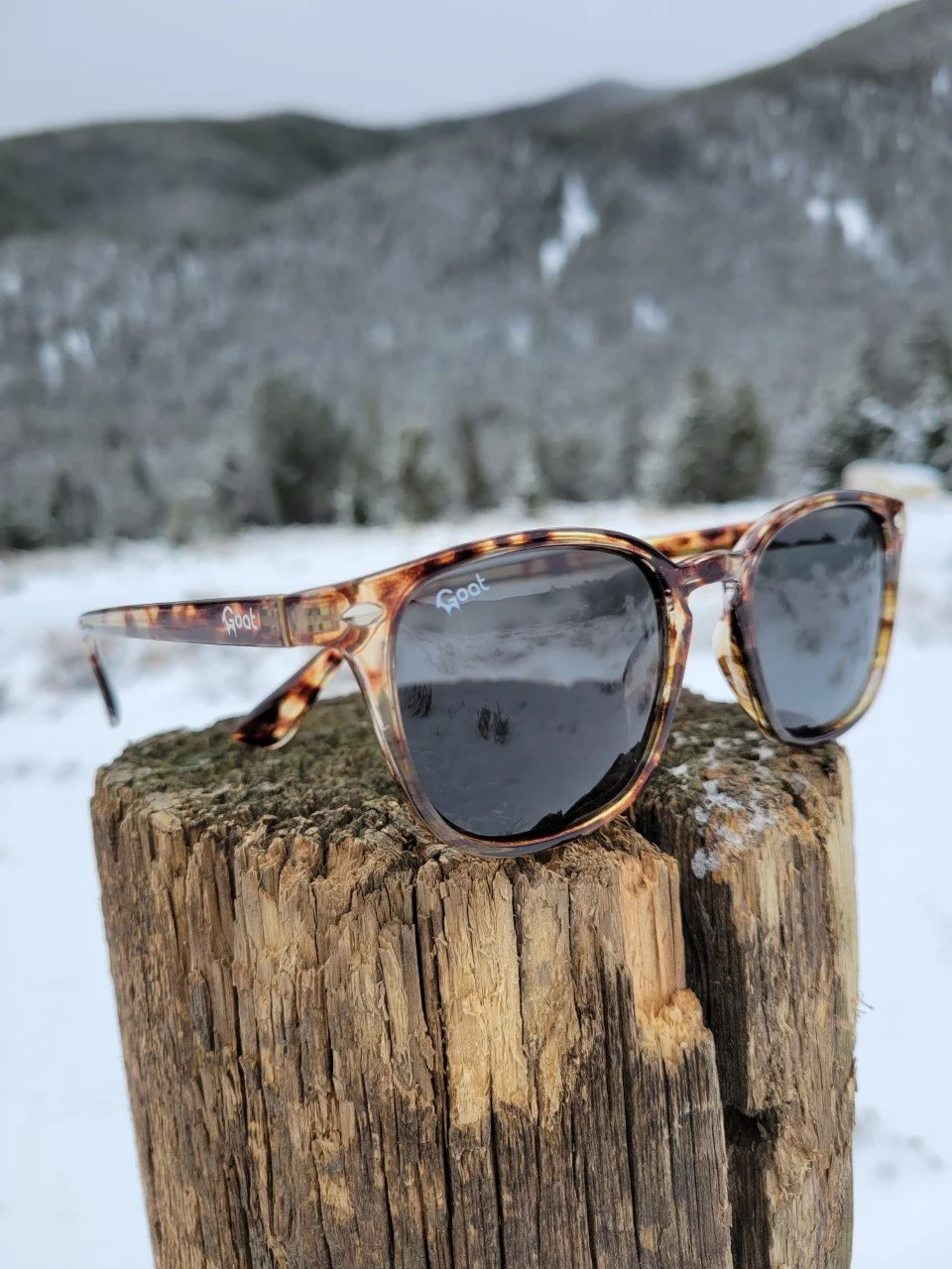 Shop Sunglasses — Goat Sunglasses