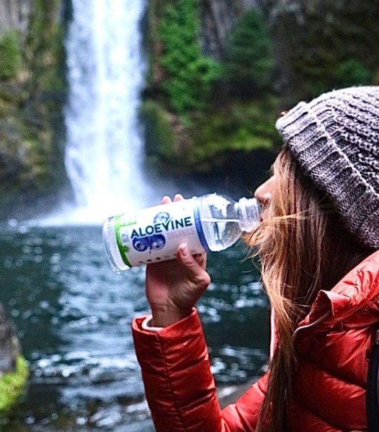 Aloevine Organics - No Pulp Organic Aloe Drinks