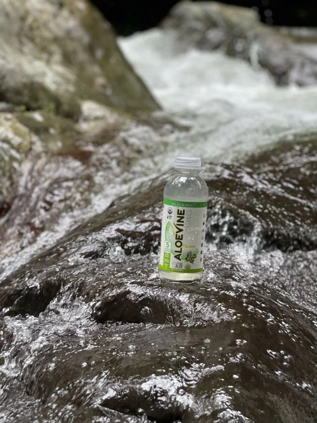 Aloevine Organics - No Pulp Organic Aloe Drinks