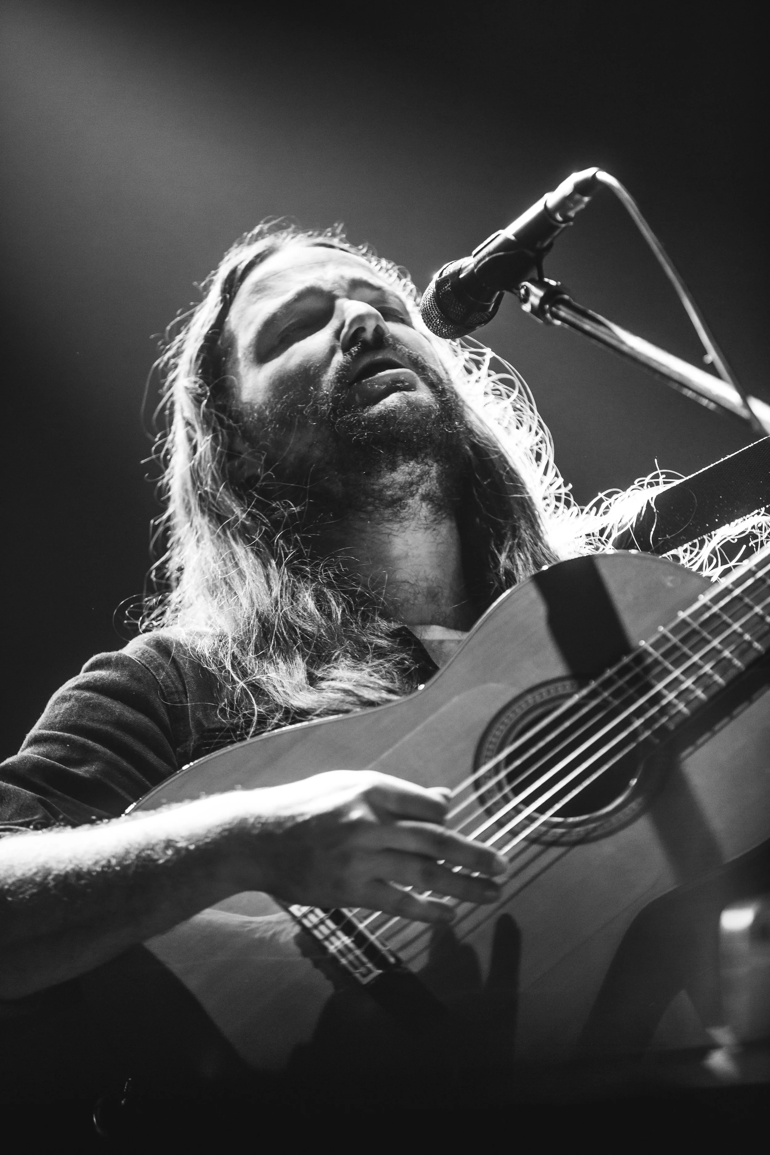 Nano Singer Wallpaper