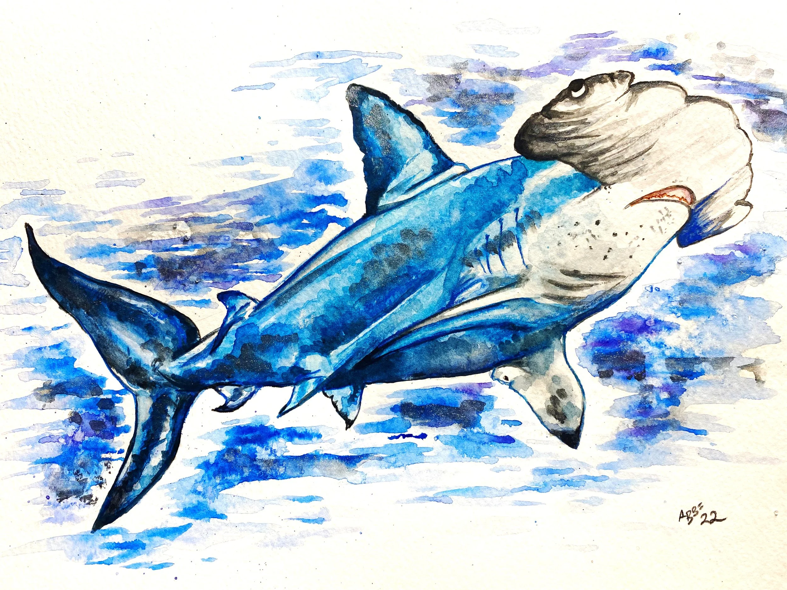 Hammerhead Shark Painting