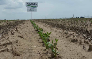 Nachurs Fertilizers — Integrated Precision