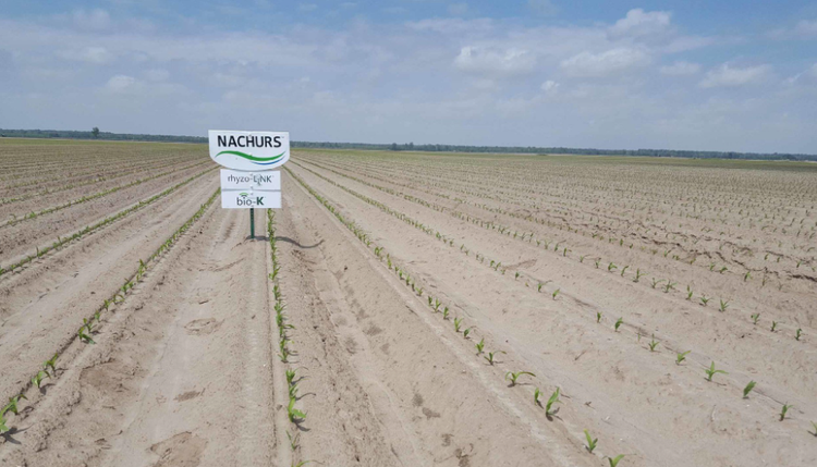 Nachurs Fertilizers — Integrated Precision