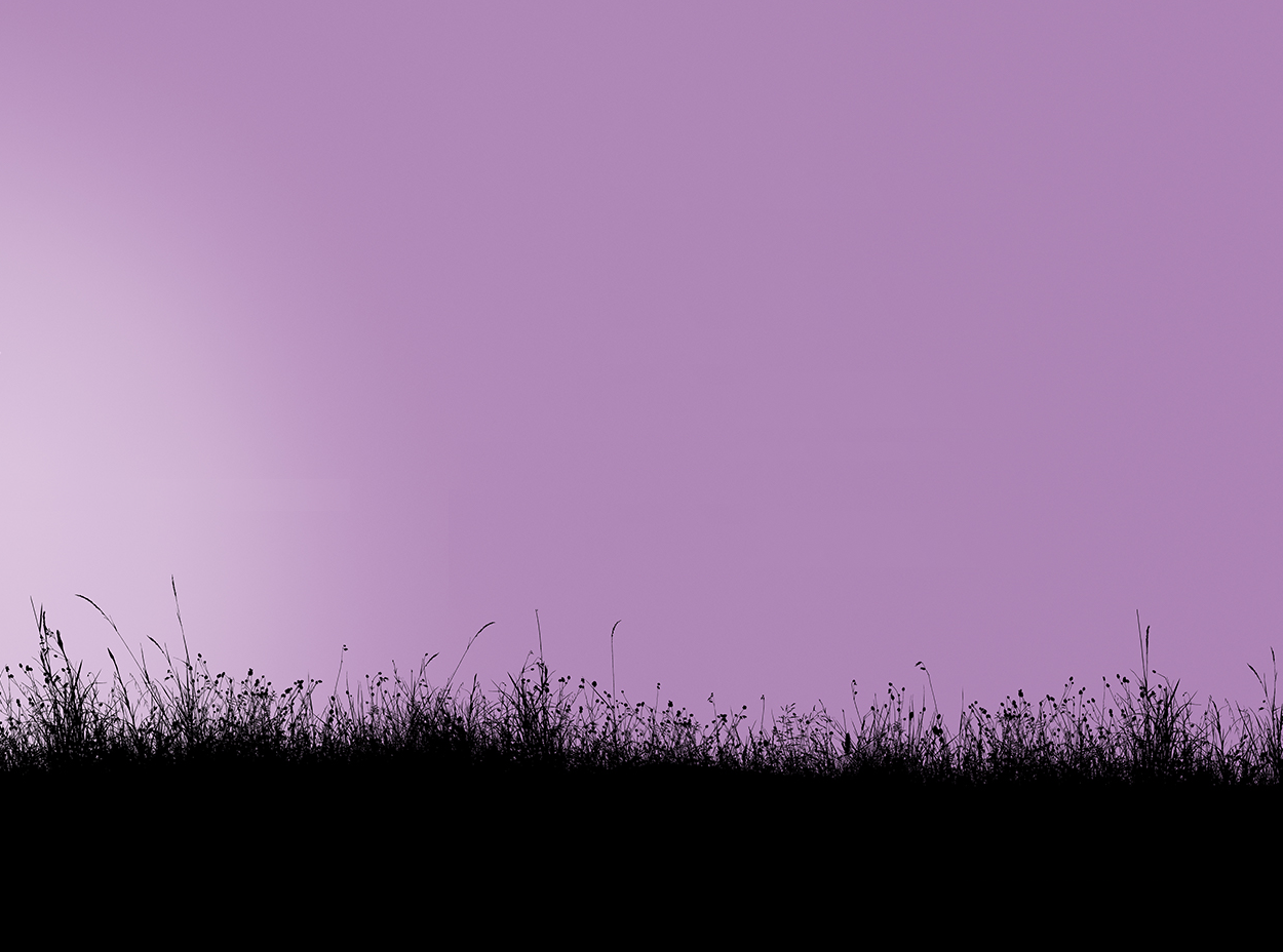 Additional Credits — Aftershock