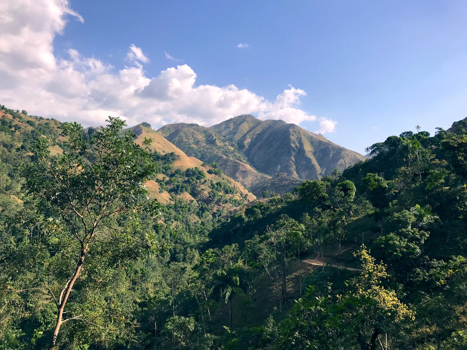 About Us — The Haiti Project