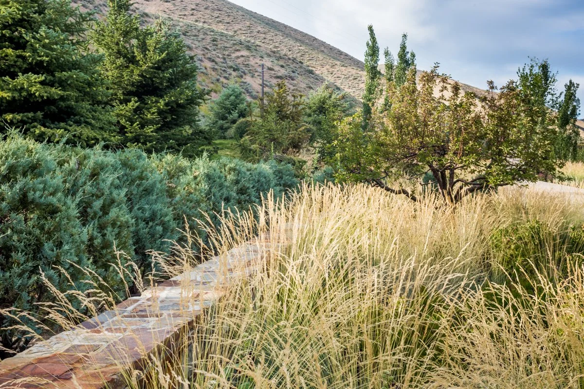 High Country Garden 2 — BYLA - Landscape Architects