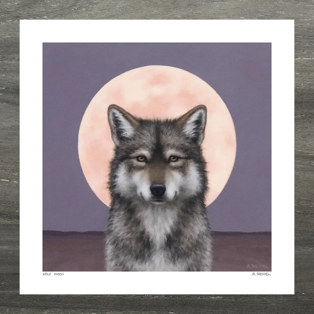 Wolf Full Moon Drawing