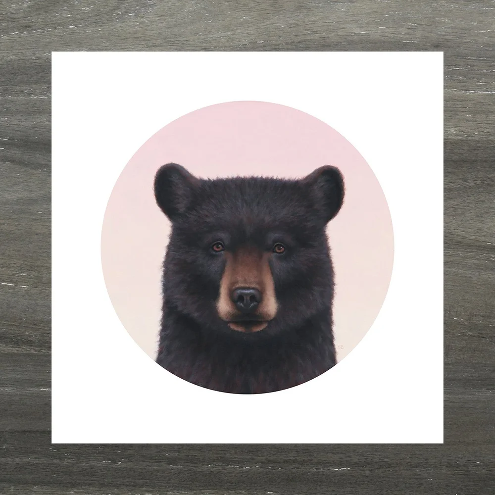 Black Bear Art Prints