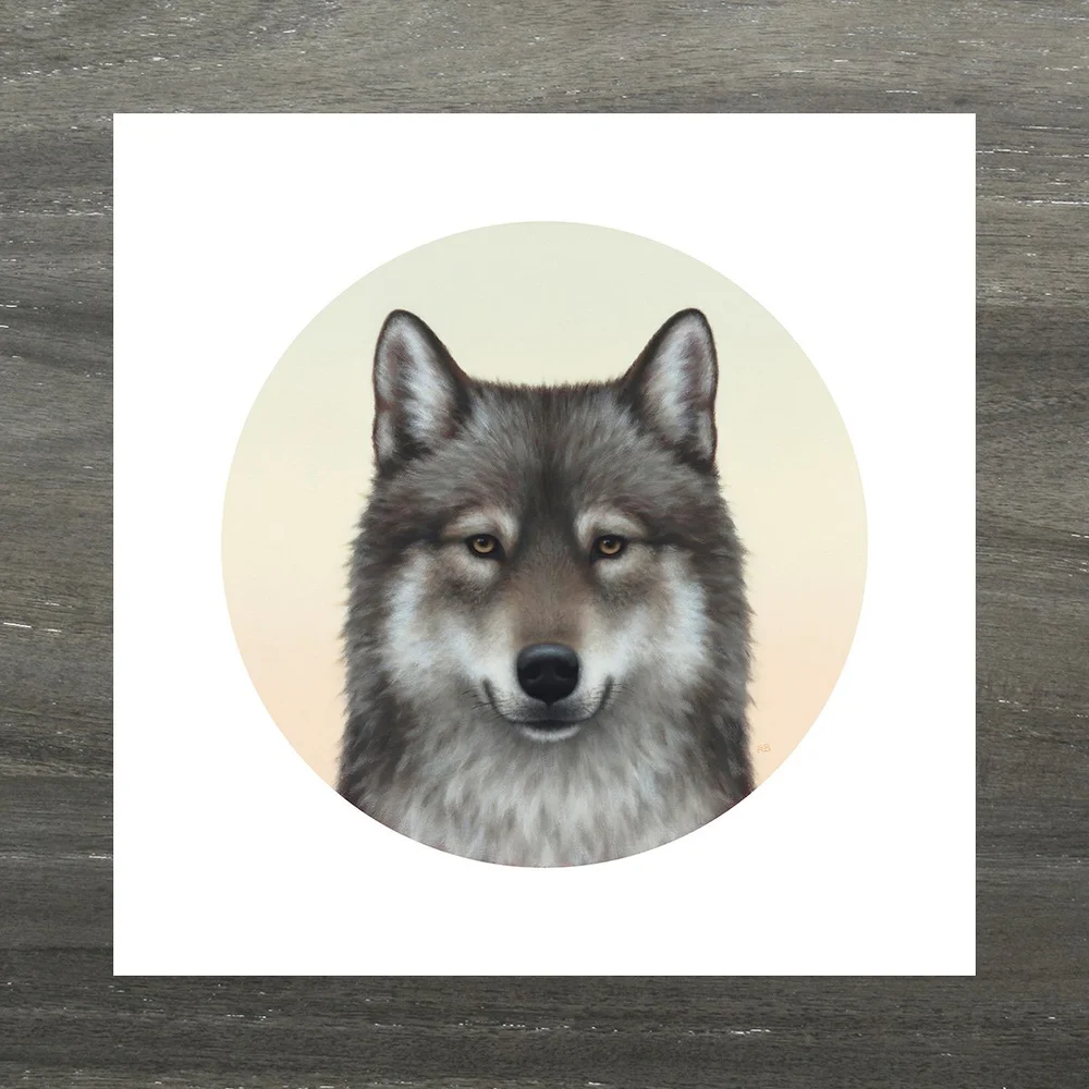Grey Wolf Face Art