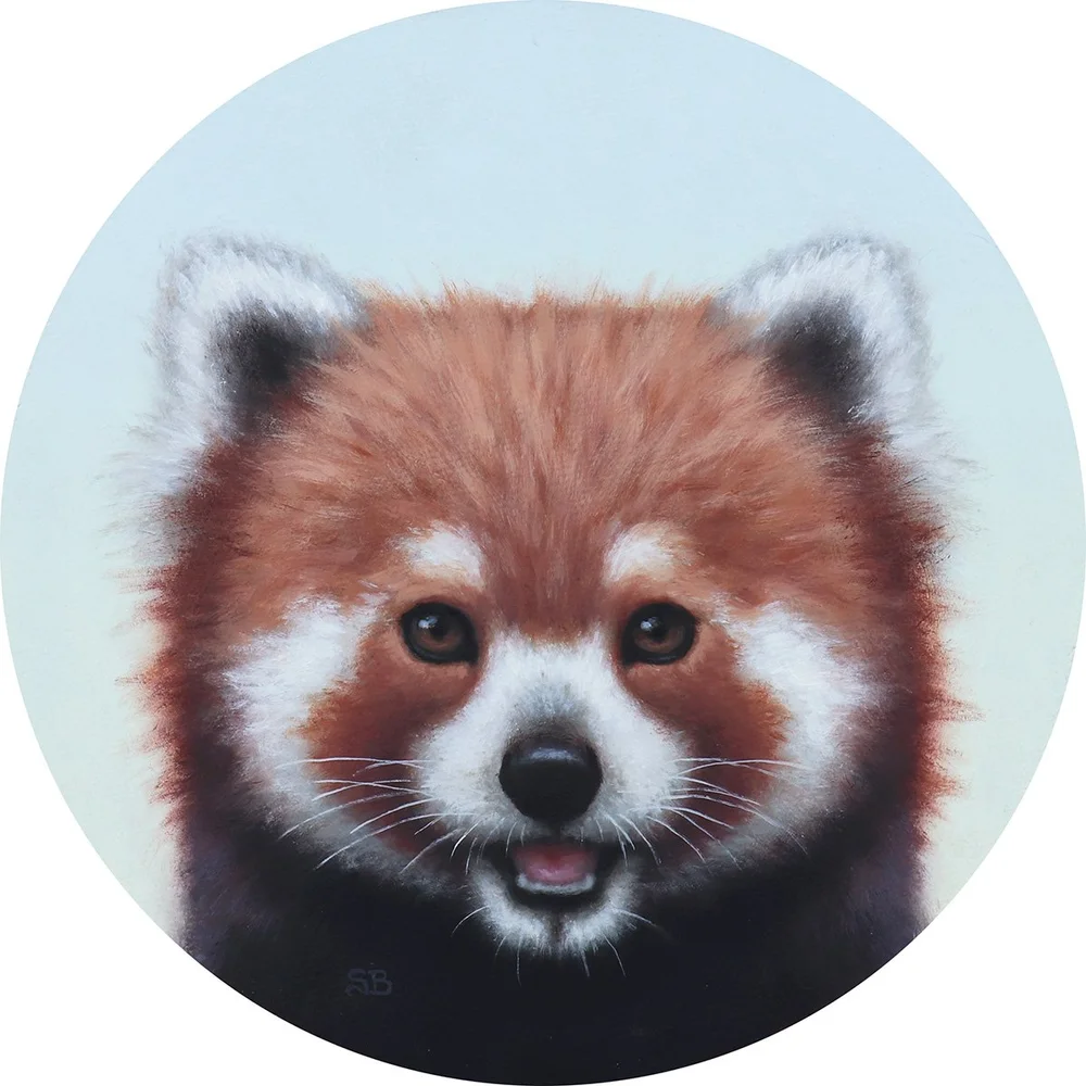 Excited Red Panda
