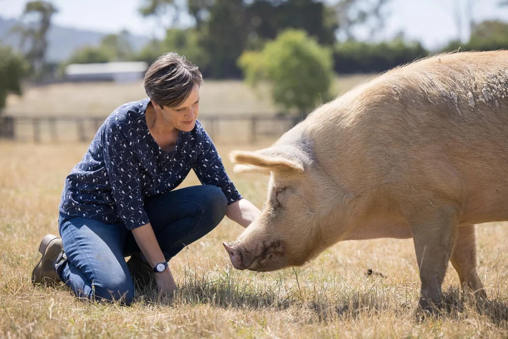 Our work — Australian Alliance for Animals