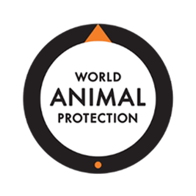 Who we are — Australian Alliance for Animals