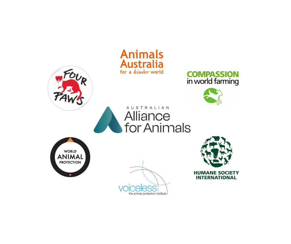 Funders — Australian Alliance for Animals