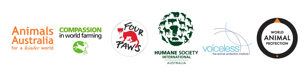 About — Australian Alliance for Animals