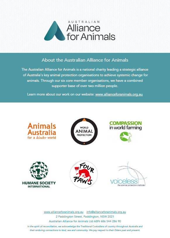 Plan for Victoria’s new animal care and protection laws — Australian ...