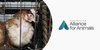 An end to battery cages — Australian Alliance for Animals