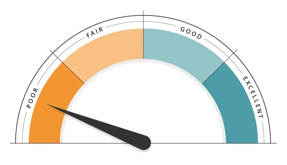 Animal welfare policy barometer 2023 — Australian Alliance for Animals