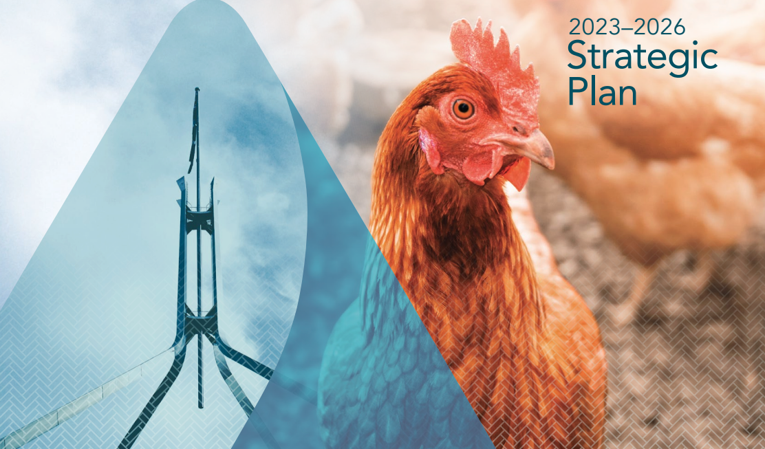 Strategy — Australian Alliance for Animals