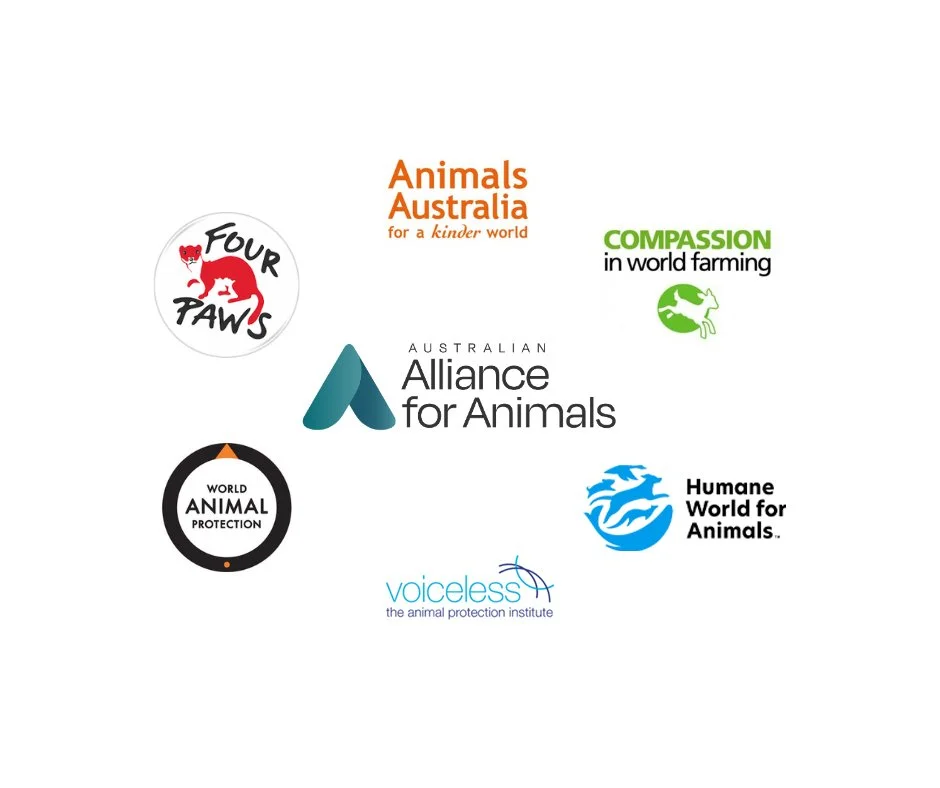 Australian Alliance for Animals