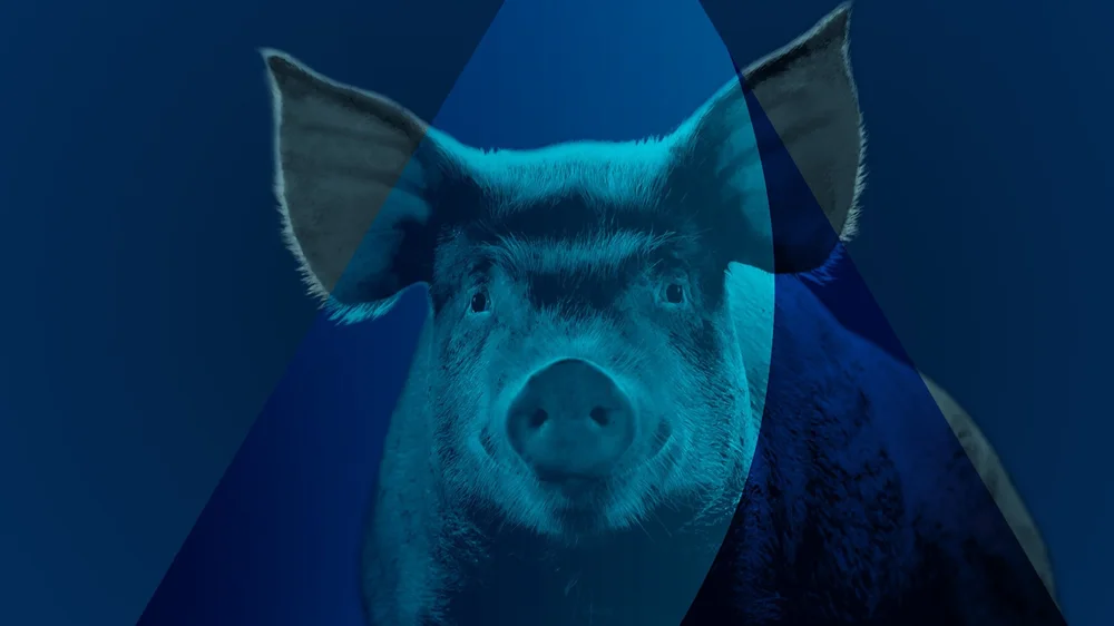 Animal welfare policy barometer 2023 — Australian Alliance for Animals
