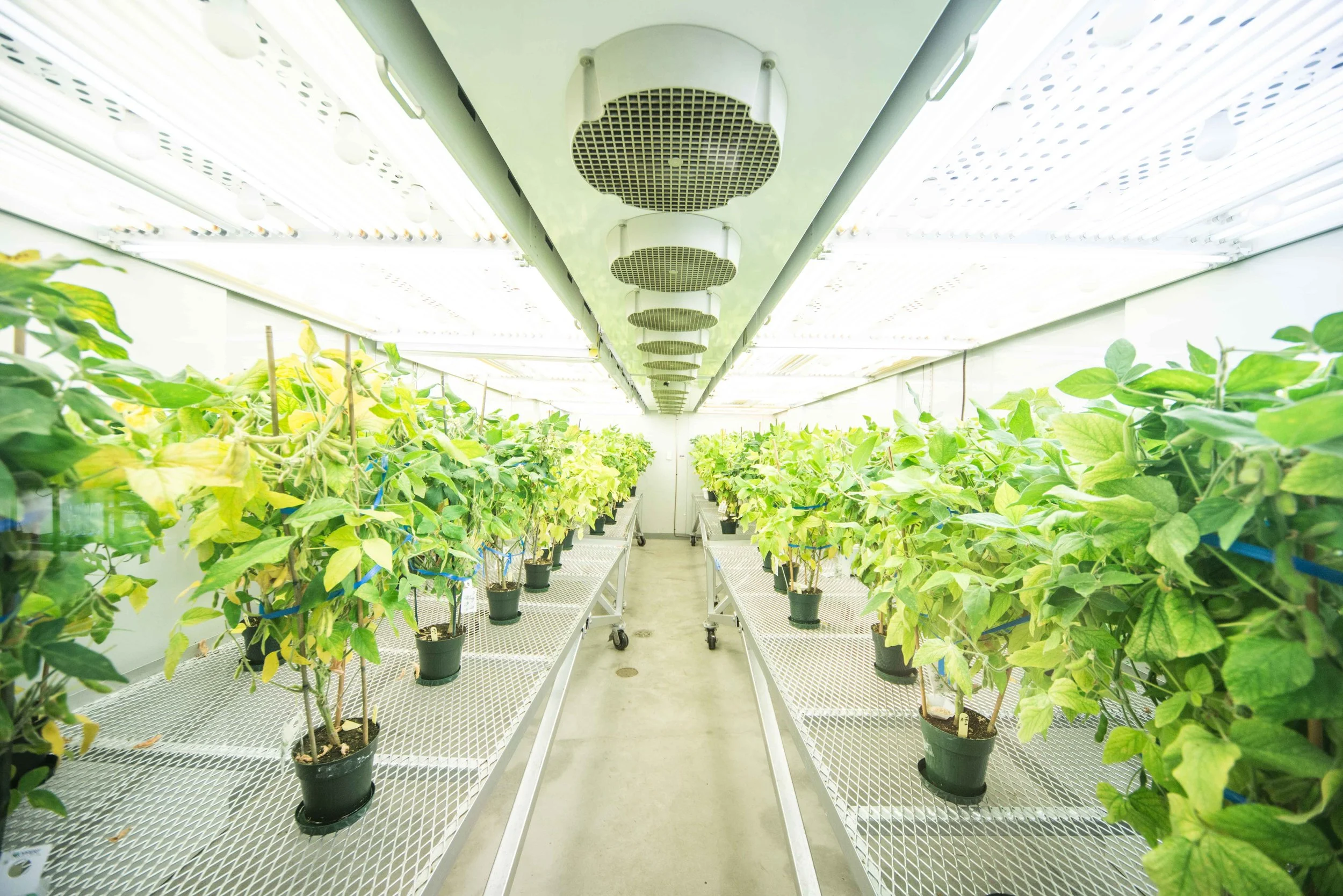 Services — Performance Plants Website