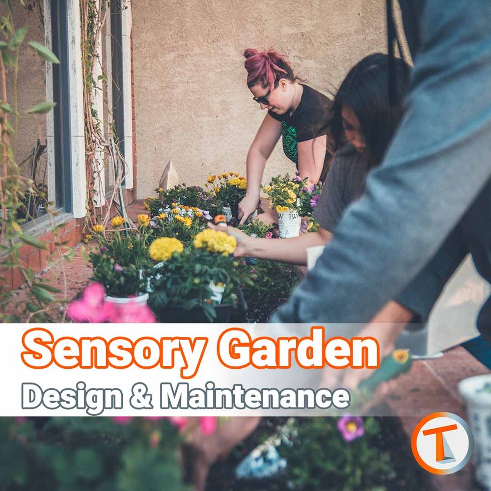 Sensory Garden Design & Maintenance — Tilton's Therapy