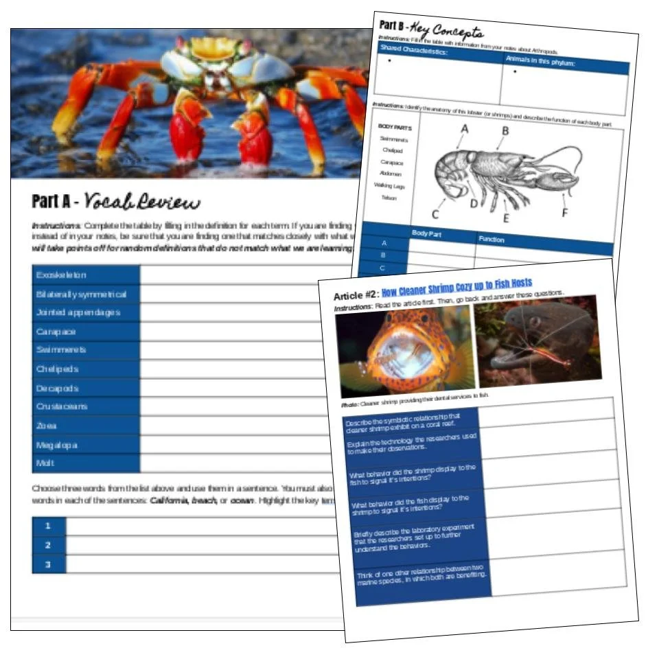 Marine Science Resources — Wild Blue Classroom