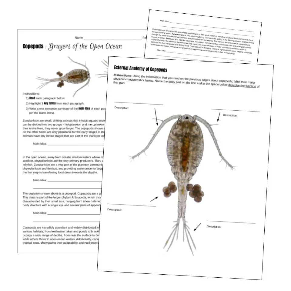 Marine Science Resources — Wild Blue Classroom