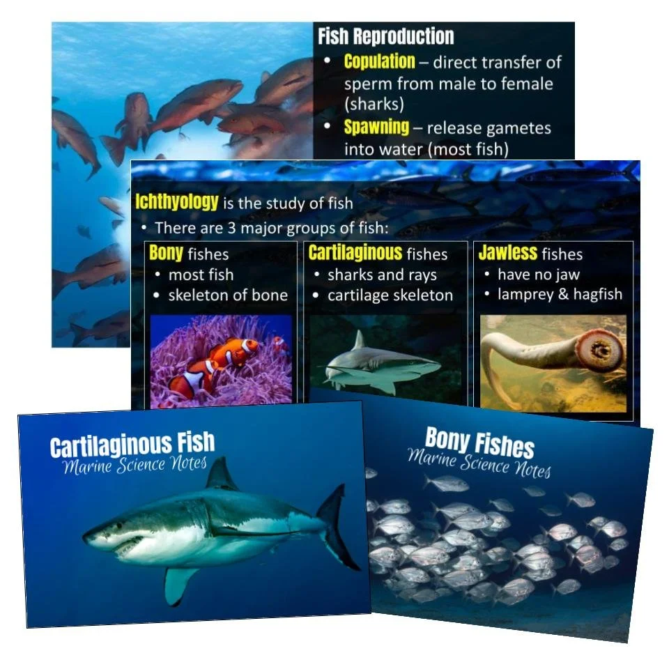 Marine Science Resources — Wild Blue Classroom