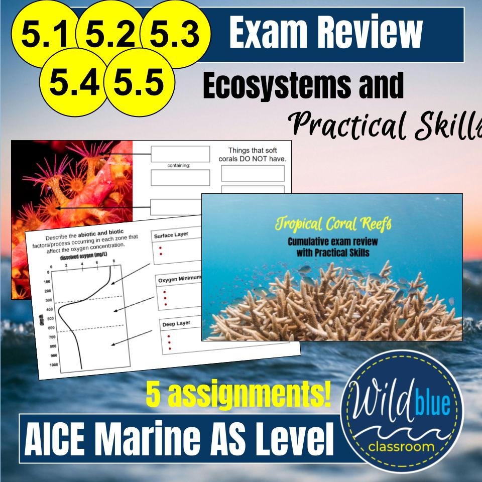 General 2 — Wild Blue Classroom