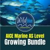 AICE Marine Resources — Wild Blue Classroom