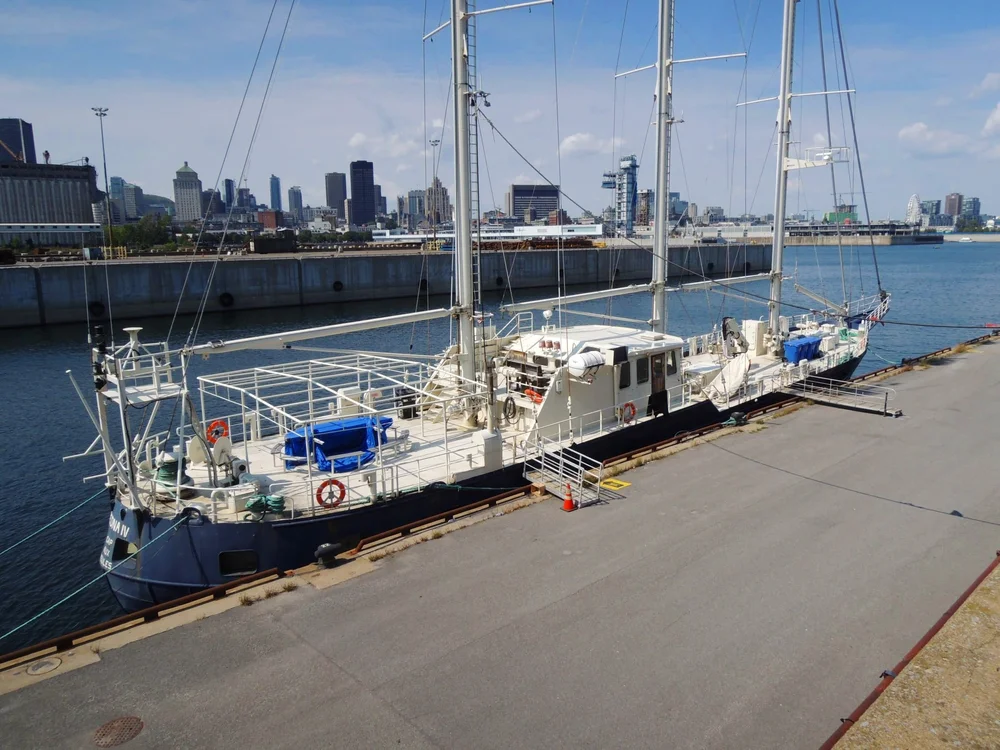 Sedna IV — clean voyages