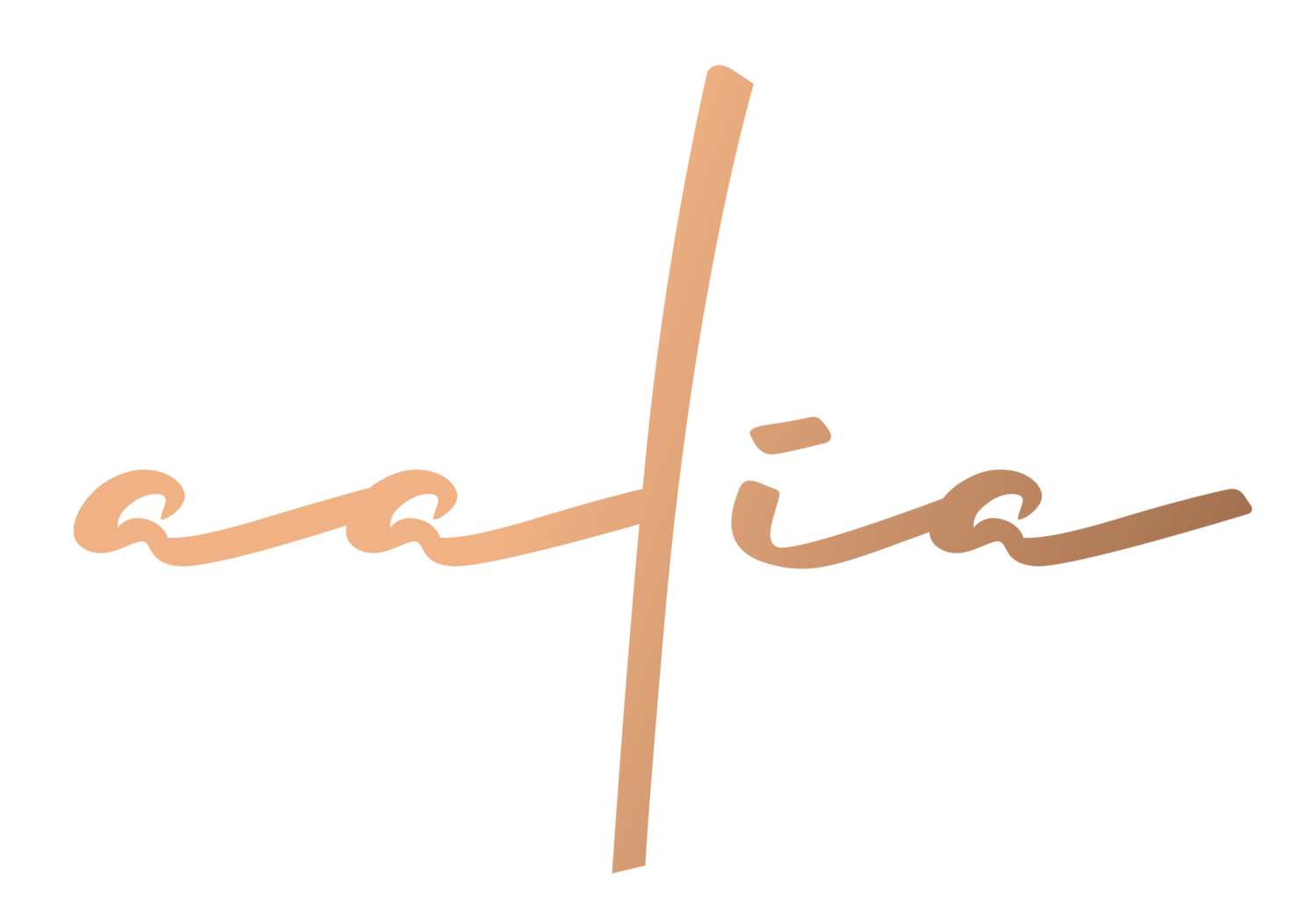Policies Terms Conditions AALIA Restaurant Sydney policies-terms-conditions-aalia-restaurant-sydney