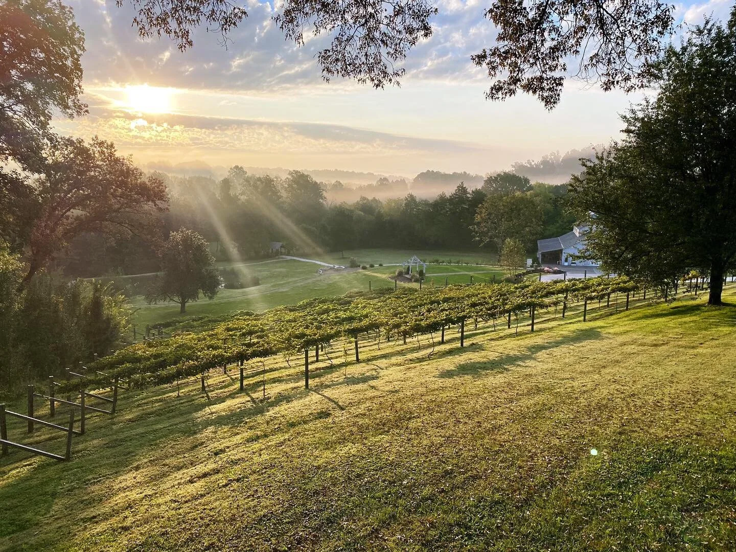 Gallery — Ramble Creek