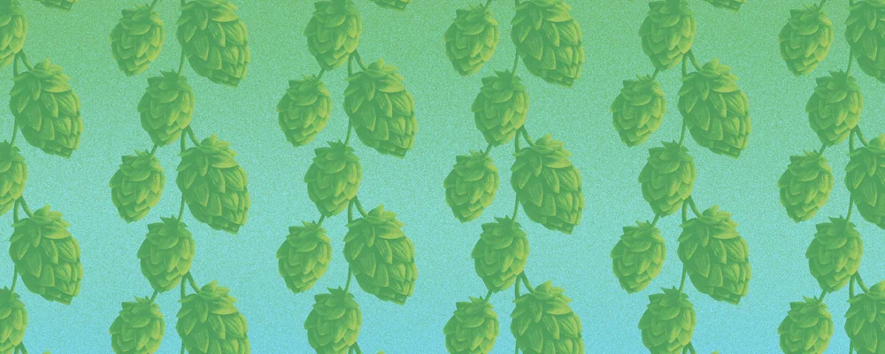 Good Hops Variety Pack — Devils Backbone Brewing Company