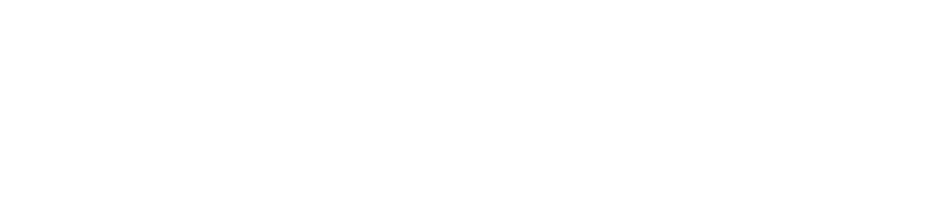 Accelerant Business Services