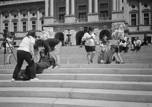 Capitol Crawl in Harrisburg — Disability Pride Pennsylvania